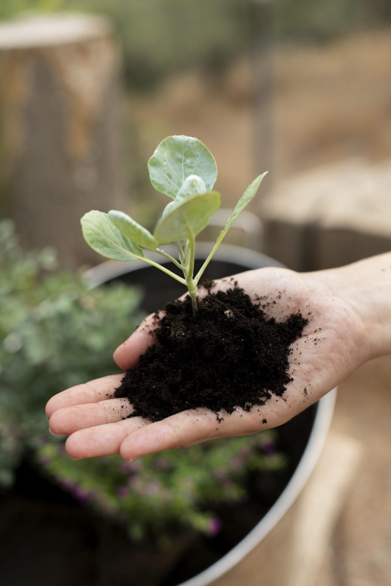 植物種植工作坊 – Conservation E3 Foundation